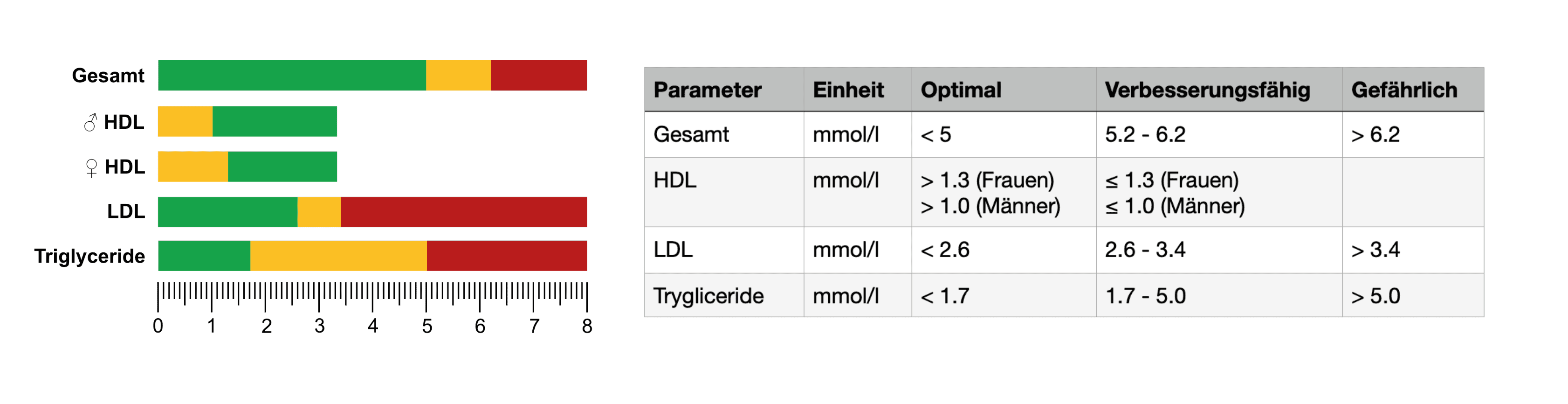 Cholesterinwerte (Gesamt, HDL, LDL) und Triglyceride verstehen